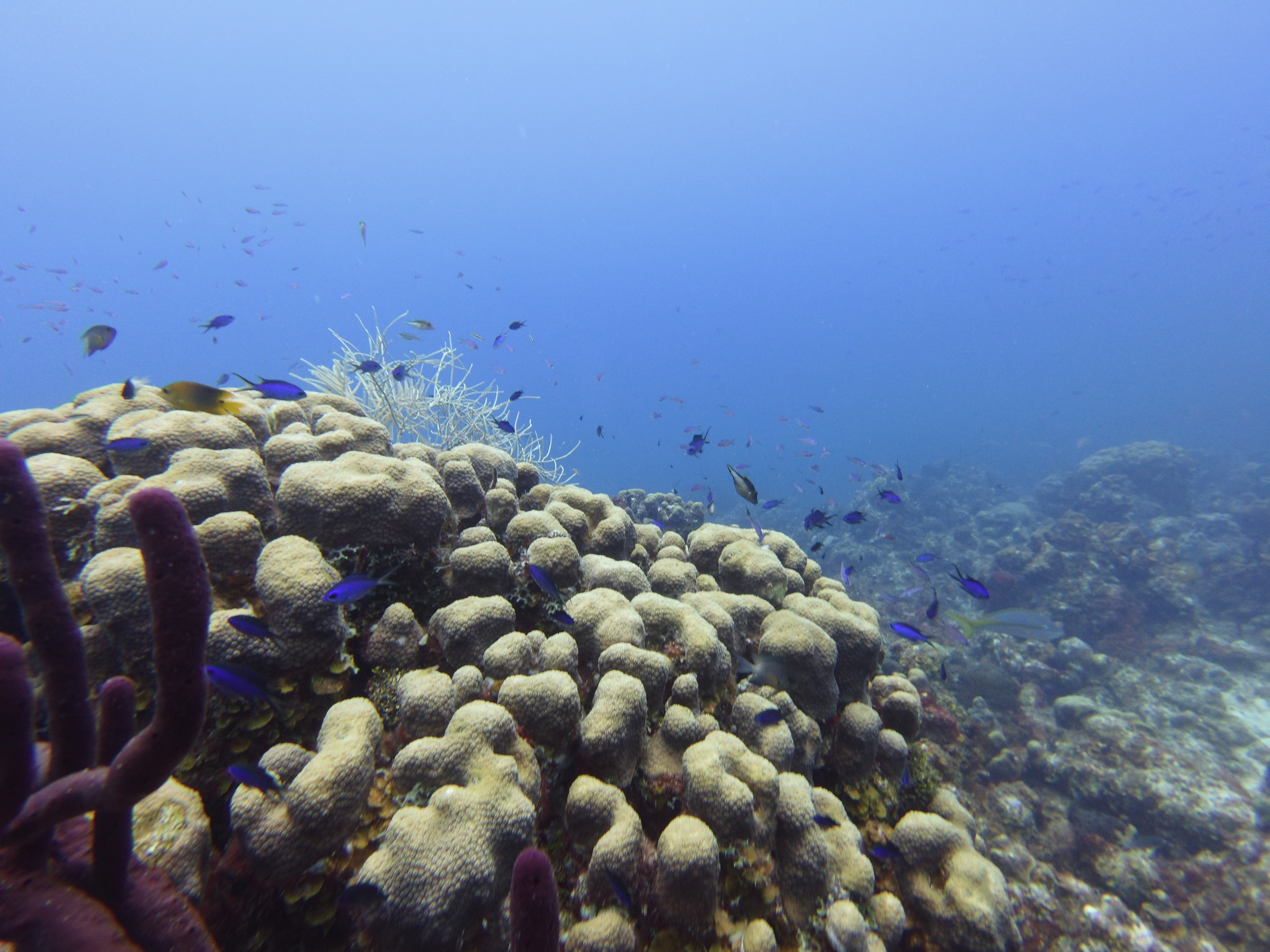 Beyond the Resorts: How to Experience the Real Caribbean - XO Scuba Girl