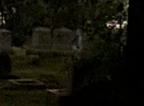 The Caribbean's Amazing Haunted Places and Ghostly Legends - XO Scuba Girl