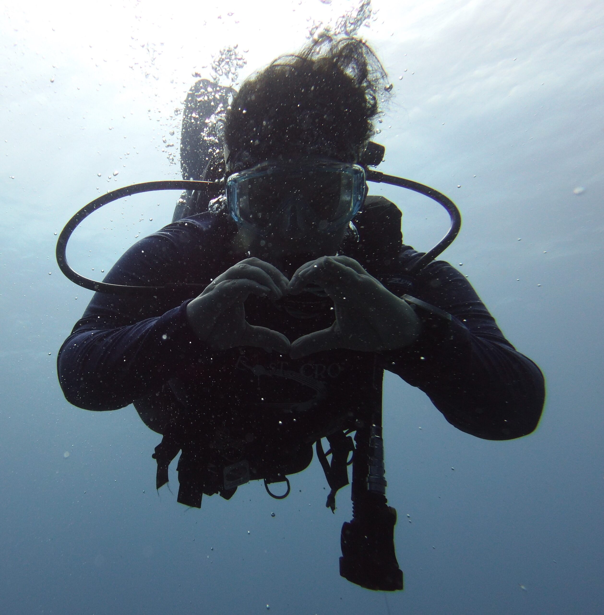 Devastating Effects of Climate Change on Ocean Life - XO Scuba Girl